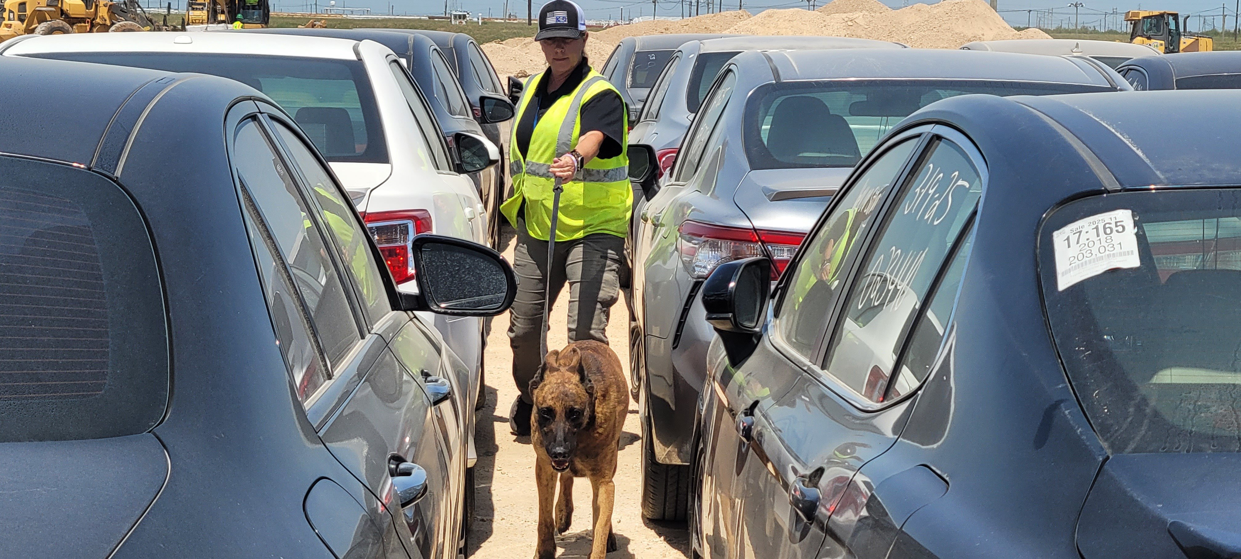 What You Need to Know Before Visiting Port Freeport